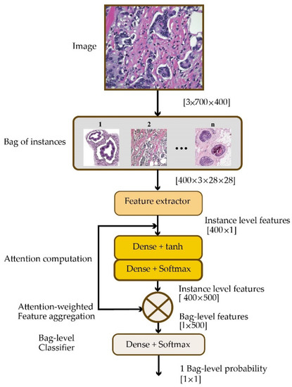 Breast Cancer Dataset, Classification and Detection Using Deep Learning