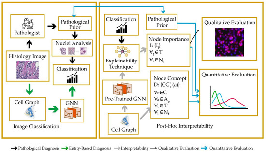 Breast Cancer Dataset, Classification and Detection Using Deep Learning