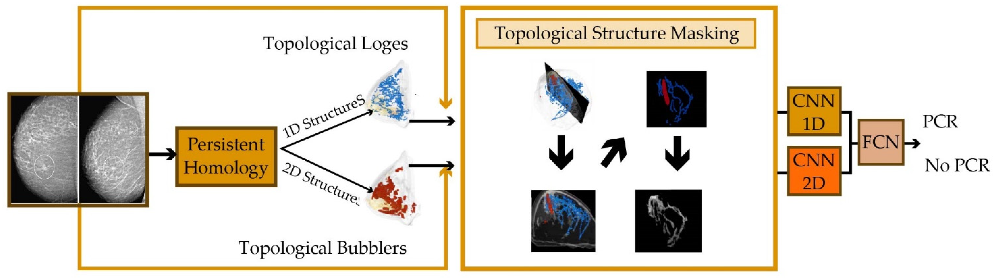 Breast Cancer Dataset, Classification and Detection Using Deep Learning