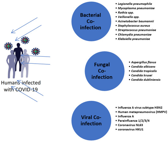 Problems Associated with Co-Infection by Multidrug-Resistant Klebsiella ...