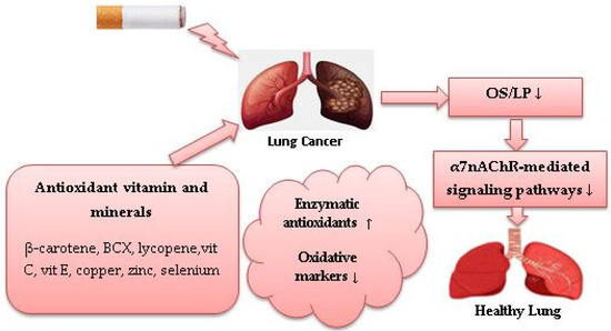Dietary Antioxidants and Lung Cancer Risk in Smokers and Non-Smokers