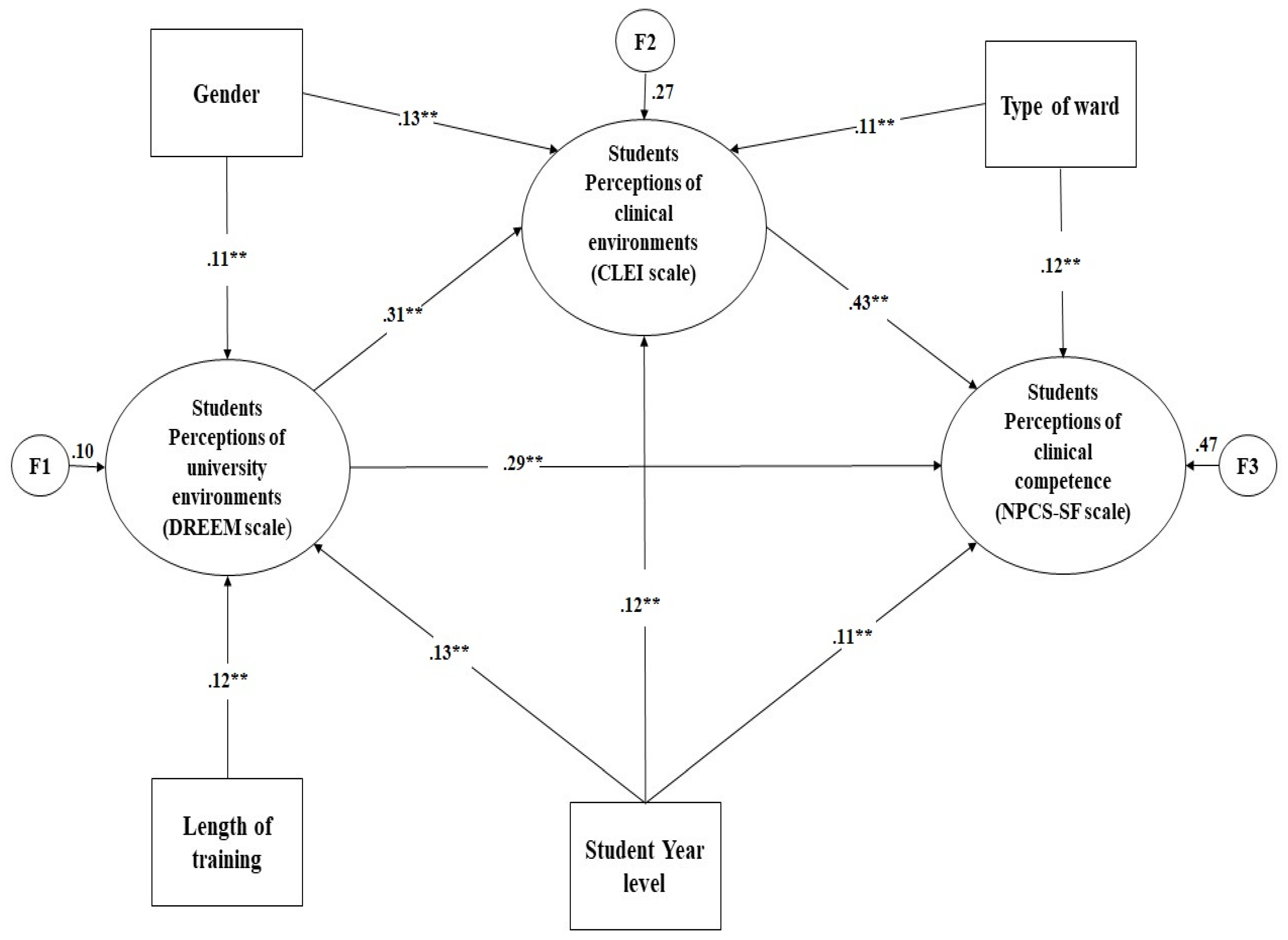 Healthcare | Free Full-Text | A Multisite Assessment of Saudi Bachelor Nursing Students ...
