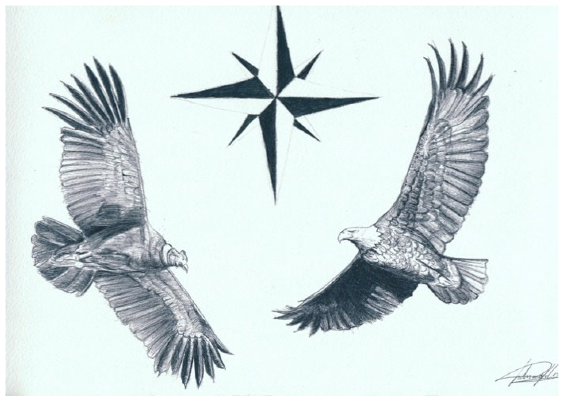 Historical Osteopathic Principles and Practices in Contemporary Care ...