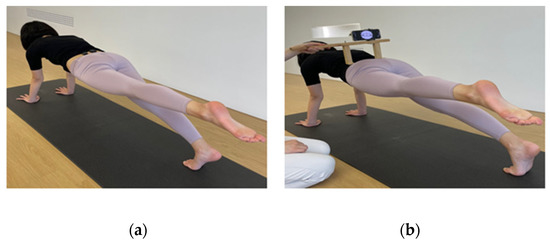 The Effects of Abdominal Hollowing and Bracing Maneuvers on Trunk ...