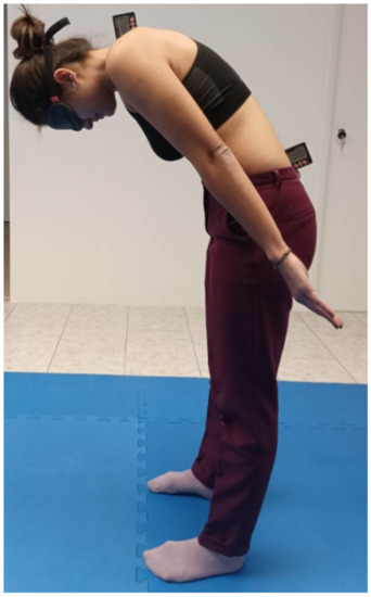 Reliability and Validity of the Double Inclinometer Method for ...