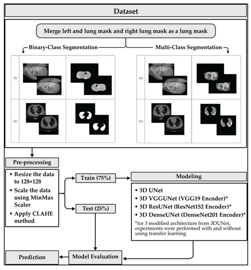Lung and Infection CT-Scan-Based Segmentation with 3D UNet Architecture and Its Modification