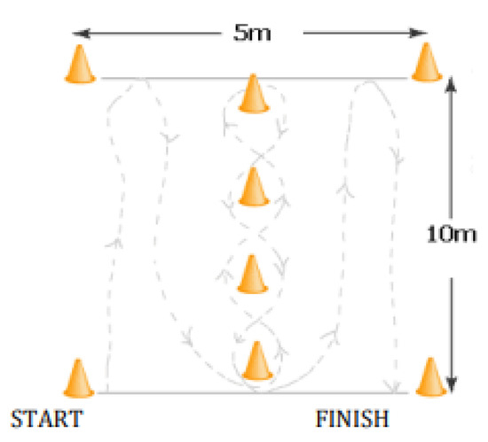 Evolution of Physical Training in Police Academies: Comparing Fitness ...