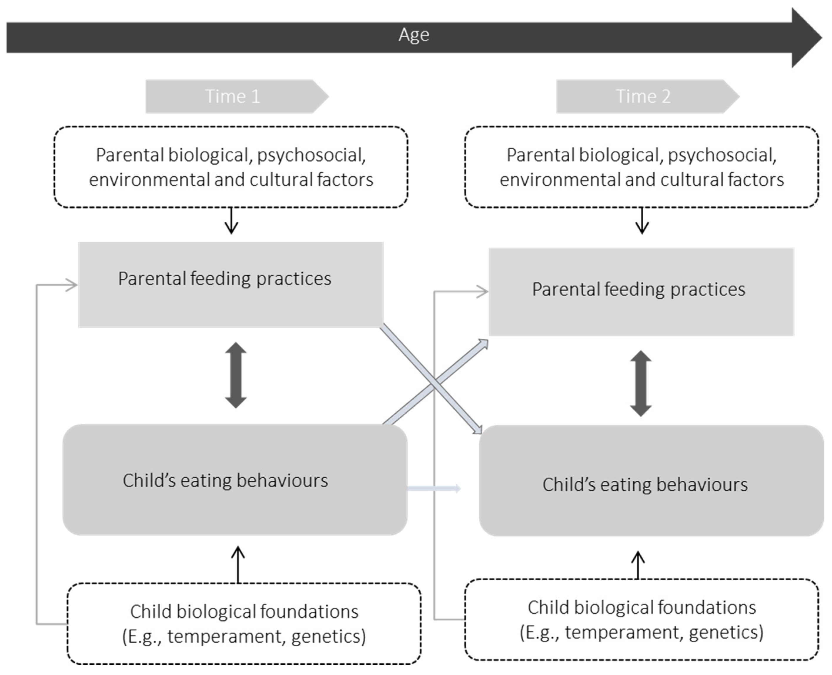 Parental Feeding Practices and Children’s Eating Behaviours: An ...
