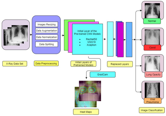 Interpretable Differential Diagnosis of Non-COVID Viral Pneumonia, Lung ...