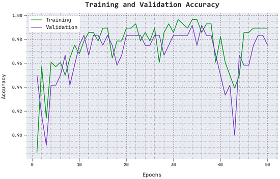 Archimedes Optimization Algorithm with Deep Learning-Based Prostate Cancer Classification on ...