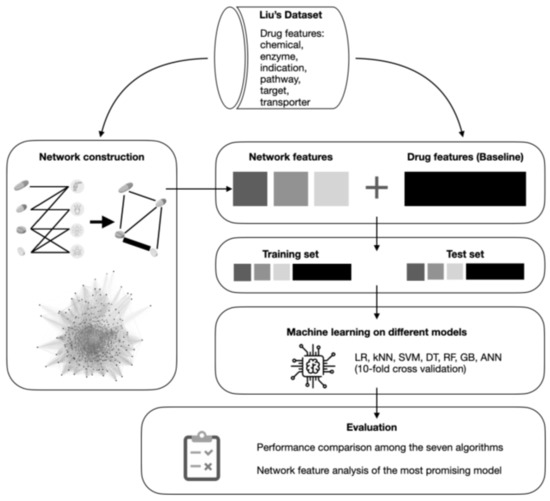 Interpretable Drug-to-Drug Network Features for Predicting Adverse Drug Reactions