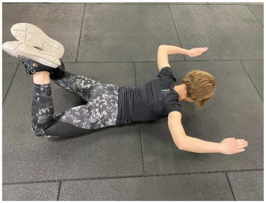 A Comparative Electromyographic Analysis of Flying Squirrel and 3-Point ...