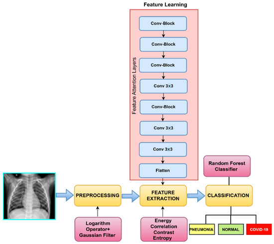 Computer-Aided Diagnosis of COVID-19 from Chest X-ray Images Using ...