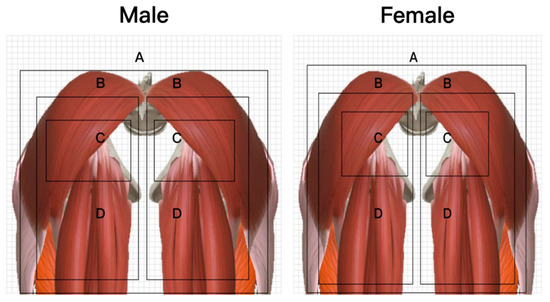 Hole Matrix Mapping Model for Partitioned Sitting Surface Based on ...