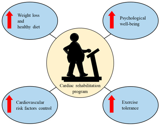 Obesity and Cardiovascular Risk: Systematic Intervention Is the Key for ...