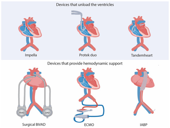 Healthcare | Free Full-Text | The Use of Cardioprotective Devices and ...