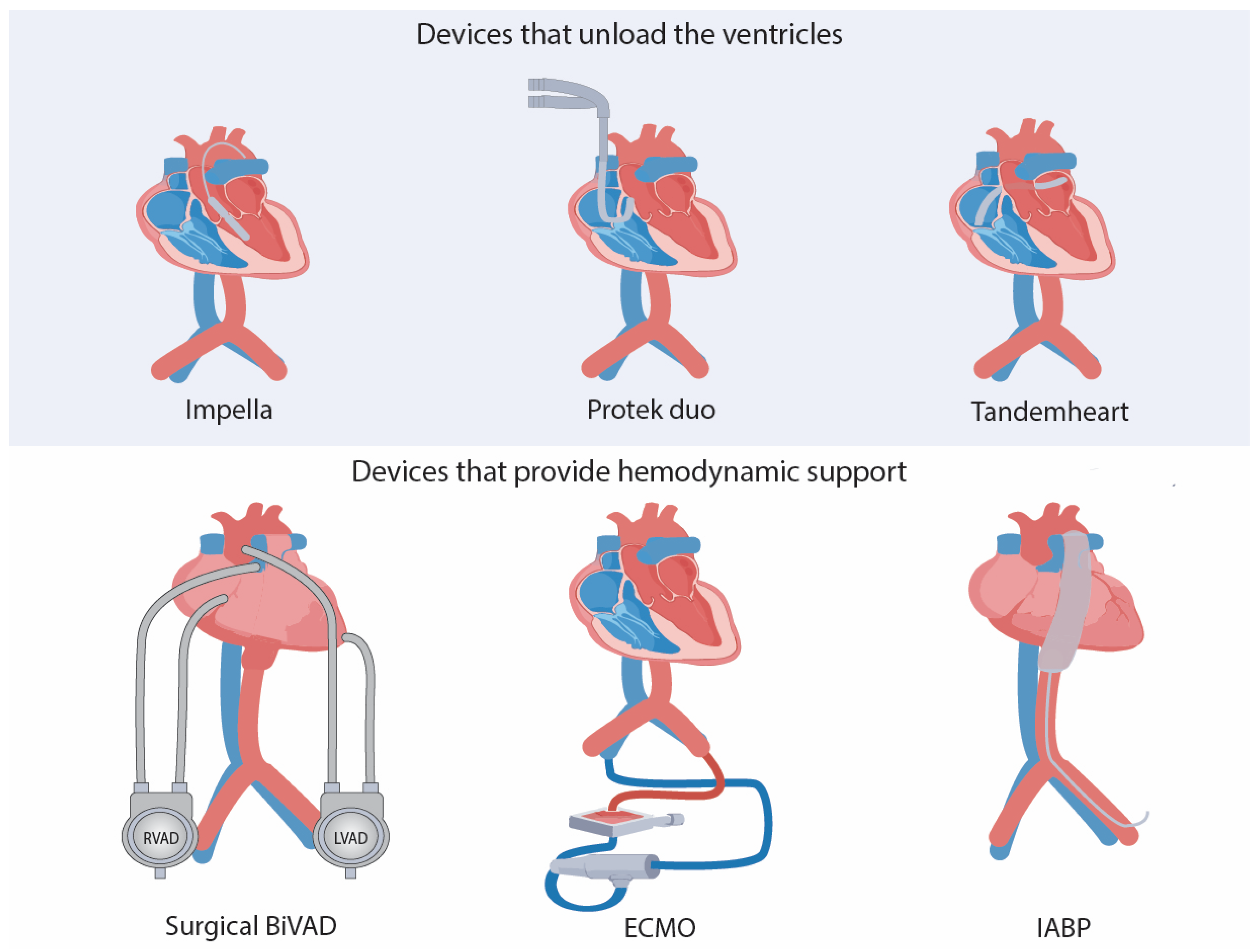 Healthcare | Free Full-Text | The Use of Cardioprotective Devices and ...
