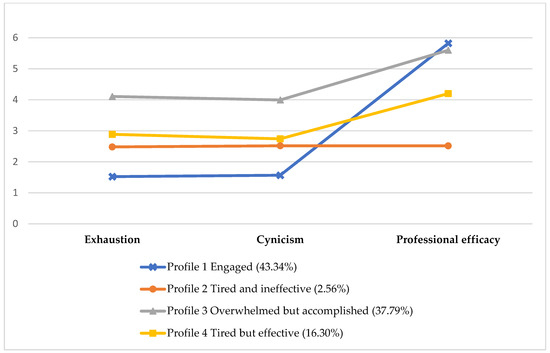 Healthcare | Free Full-Text | The Complexity of Burnout Experiences ...