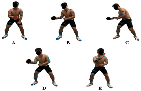 Biomechanics of Topspin Forehand Loop in Table Tennis: An Application ...