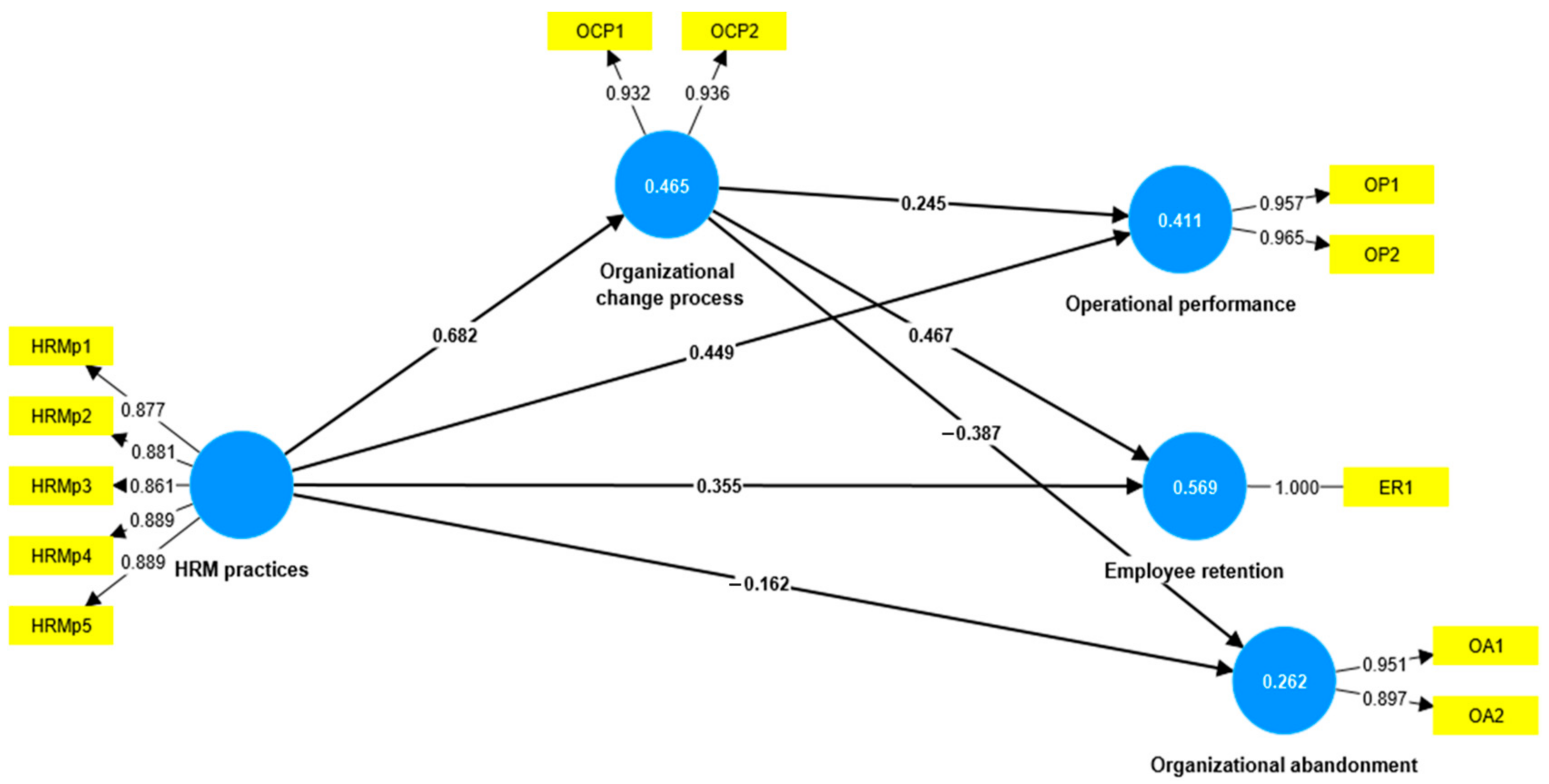 The Link between HRM Practices and Performance in Healthcare: The ...