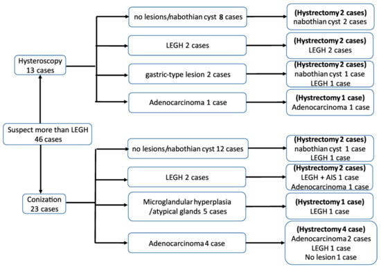 Healthcare | Free Full-Text | Diagnostic Utility of Hysteroscopic ...