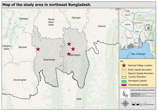 Women Agro-Entrepreneurship Promoting Vegetables at a Family Level: A ...