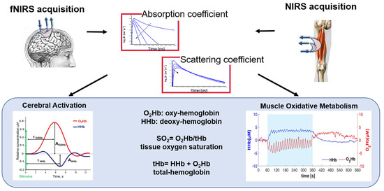 A Narrative Review on Multi-Domain Instrumental Approaches to Evaluate ...