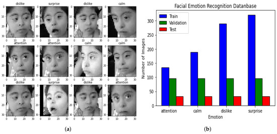 Healthcare | Free Full-Text | DS-CNN: Deep Convolutional Neural Networks for Facial Emotion ...