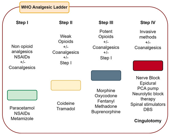 Radiofrequency Cingulotomy as a Treatment for Incoercible Pain: Follow ...