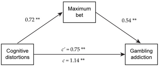 Health-Related, Social and Cognitive Factors Explaining Gambling Addiction