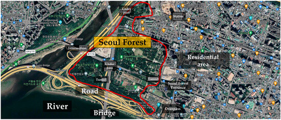 Benefits of Urban Forest Healing Program on Depression and Anxiety ...