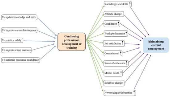The Role of Continuing Professional Training or Development in ...