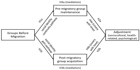 Healthcare | Free Full-Text | Group Belonging and Social Identities in ...