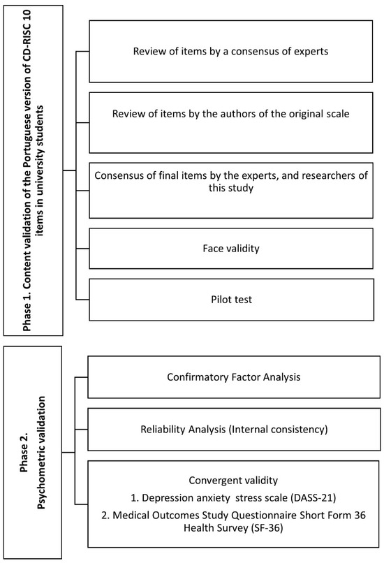 Validity and Reliability of the Portuguese Version of the Connor–Davidson Resilience Scale of 10 ...