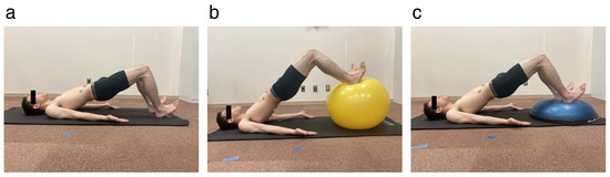 Trunk Muscle Activity and Ratio of Local Muscle to Global Muscle ...