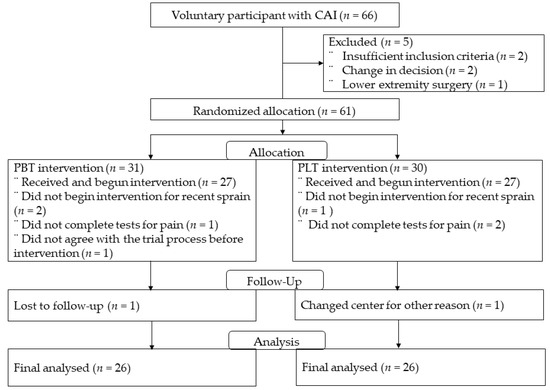 Effects of Peroneus Brevis versus Peroneus Longus Muscle Training on ...