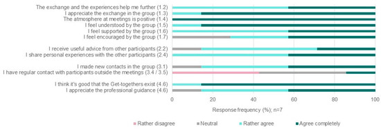 Get-togethers: Guided Peer-Support Groups for Young Carers