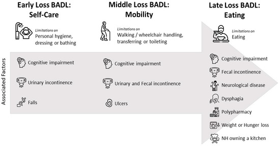 Exploring Early, Middle, and Late Loss in Basic Activities of Daily ...