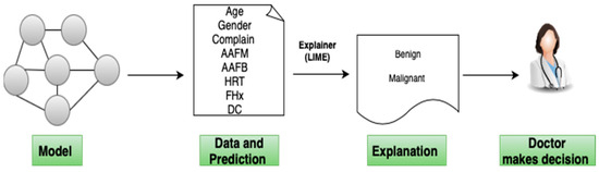 Explainable Artificial Intelligence in Quantifying Breast Cancer ...