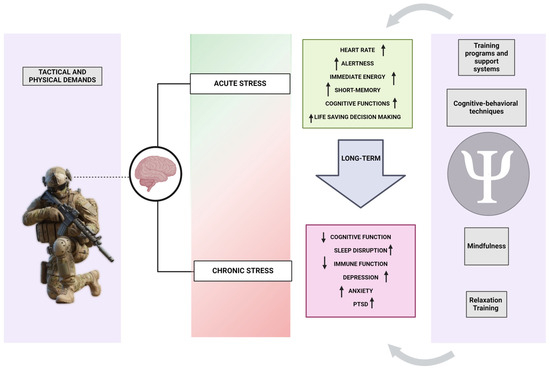 Optimising Combat Readiness: Practical Strategies for Integrating ...