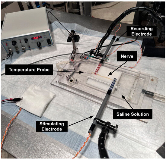 Redesigned Electrodes for Improved Intraoperative Nerve Conduction ...
