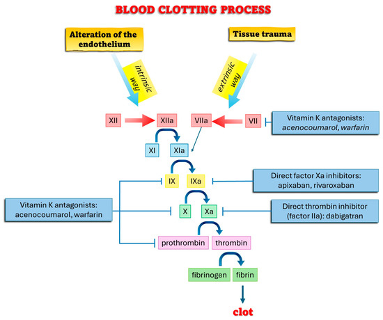 Management of Patients Receiving Anticoagulation Therapy in Dental ...