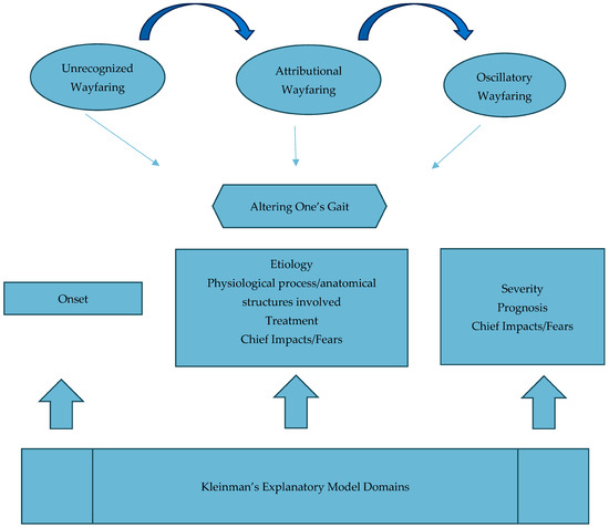 Family Members’ Explanatory Models of Cancer Anorexia–Cachexia