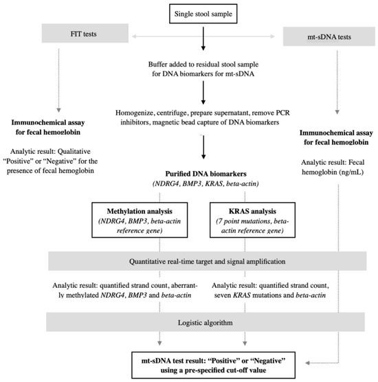 Utility of Stool-Based Tests for Colorectal Cancer Detection: A ...