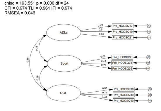 Psychometric Analysis of the Hip Disability and Osteoarthritis Outcome ...