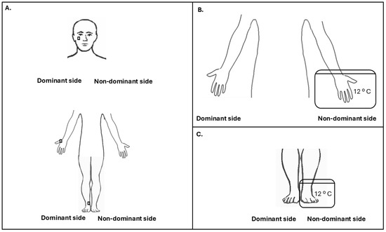 Tonic Cold Pain Temporal Summation and Translesional Cold Pressor Test ...