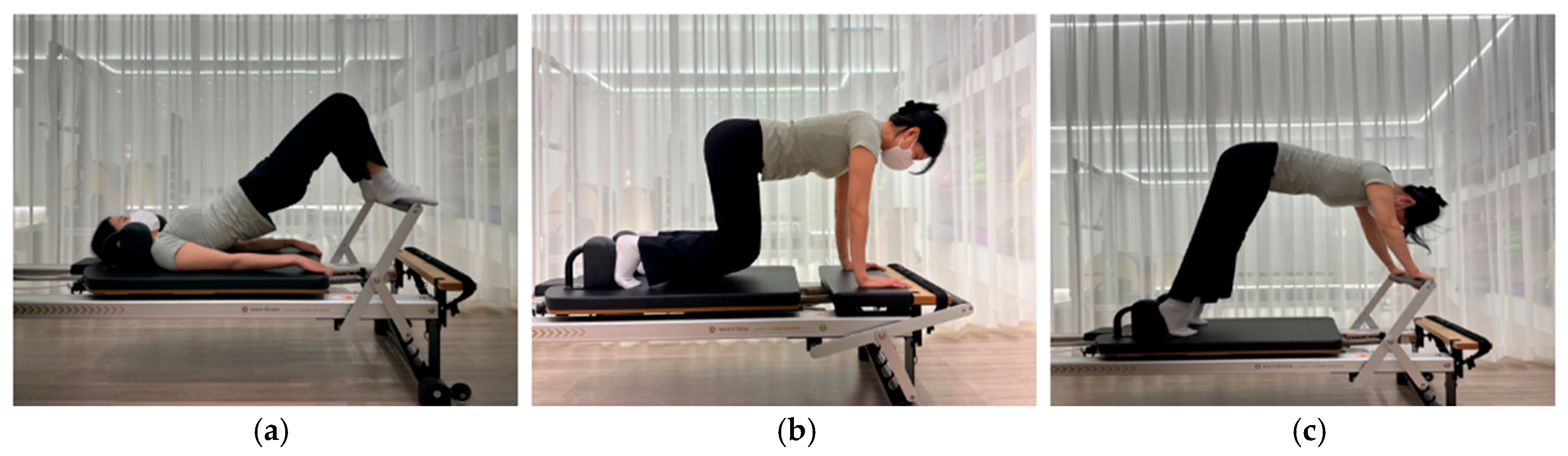 Effect of Reformer Spring Resistance Modifications on Core Muscle ...