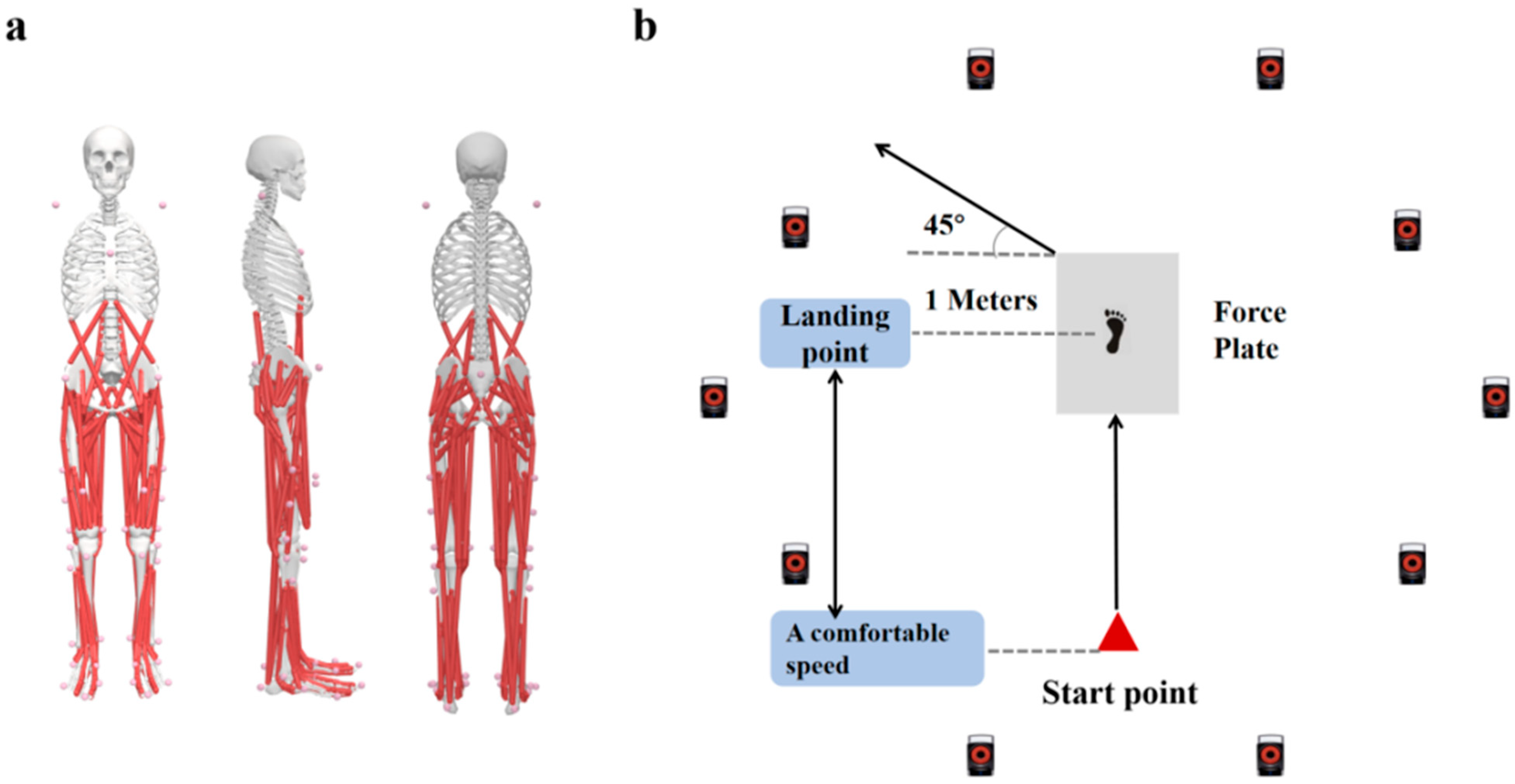 The Biomechanical Effects of Kinesiology Taping Methods on Side-Step ...