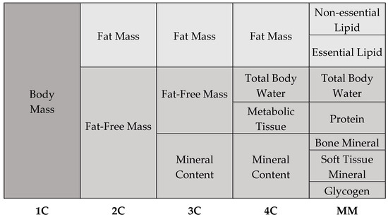 Exploring the Science of Shape: How Physical Activity, Sleep, and ...