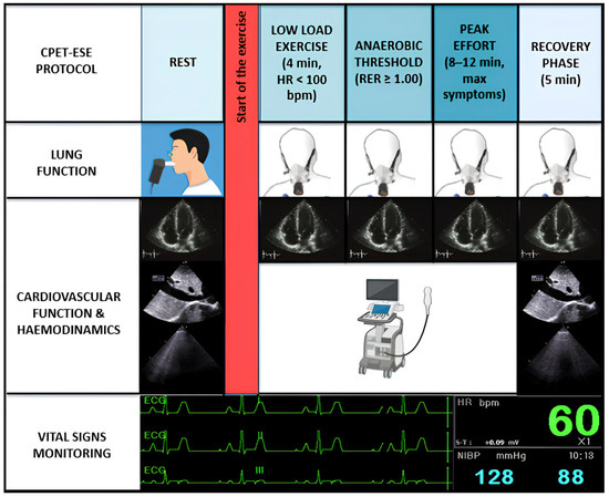 Advancing Cardiovascular Risk Stratification and Functional Assessment ...